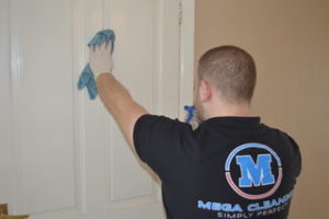 Mega Cleaning pros - Megacleaning
