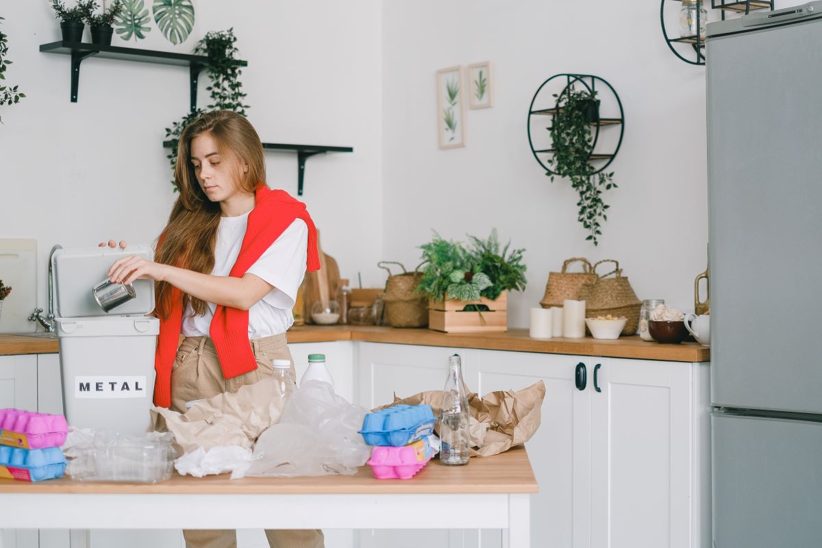 A Beginner's Guide to Zero Waste Cleaning 1 - Megacleaning