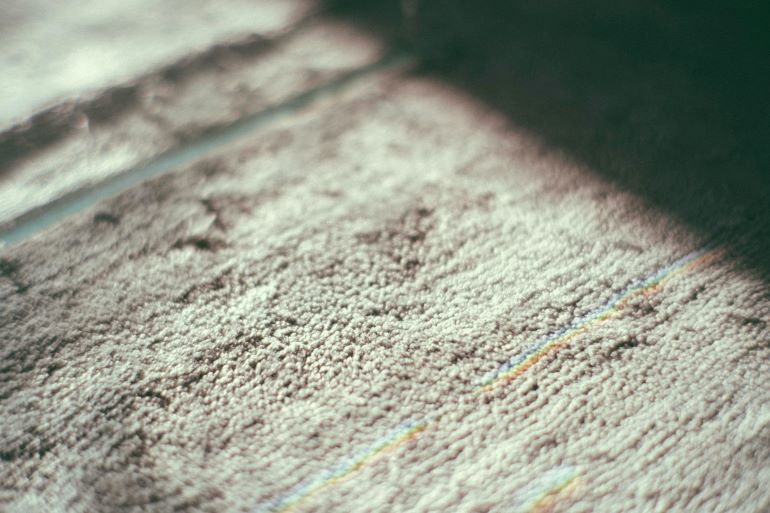 How to Speed Up Drying Time After Carpet Cleaning | Megacleaning